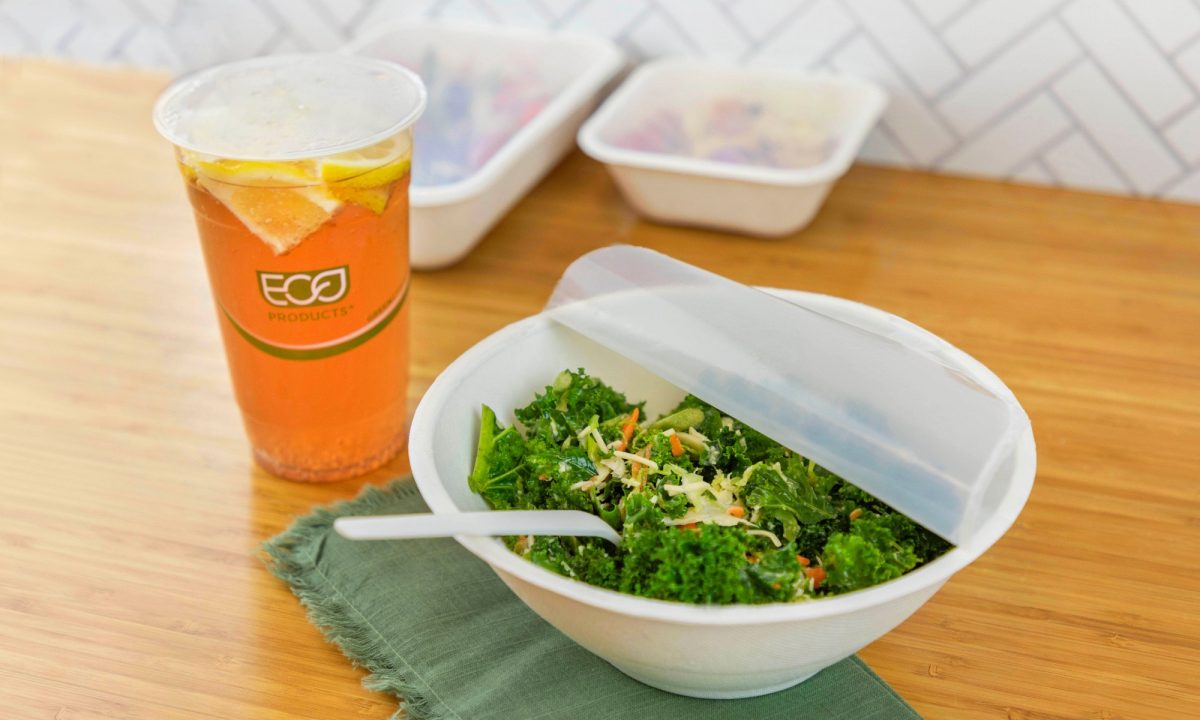 Why Use Disposable Food Packaging for Your Events? | The Hode Group